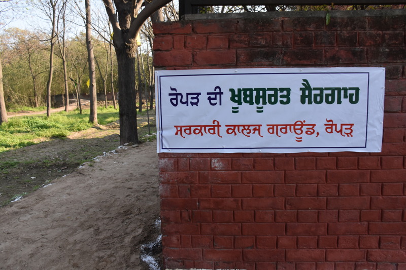 Government College Ropar